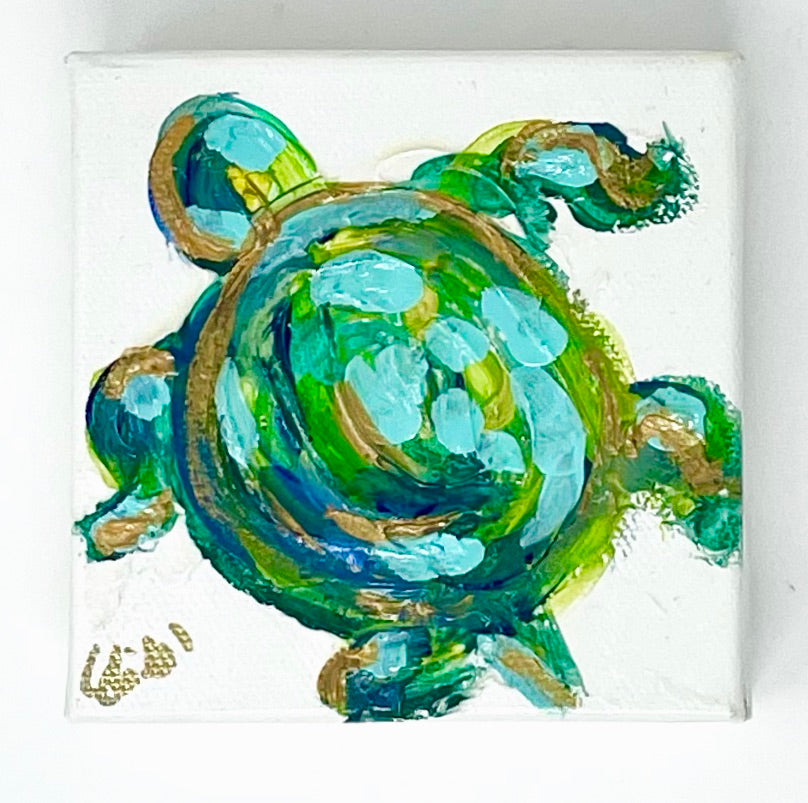 Turtle Art Canvas – Have Mercy